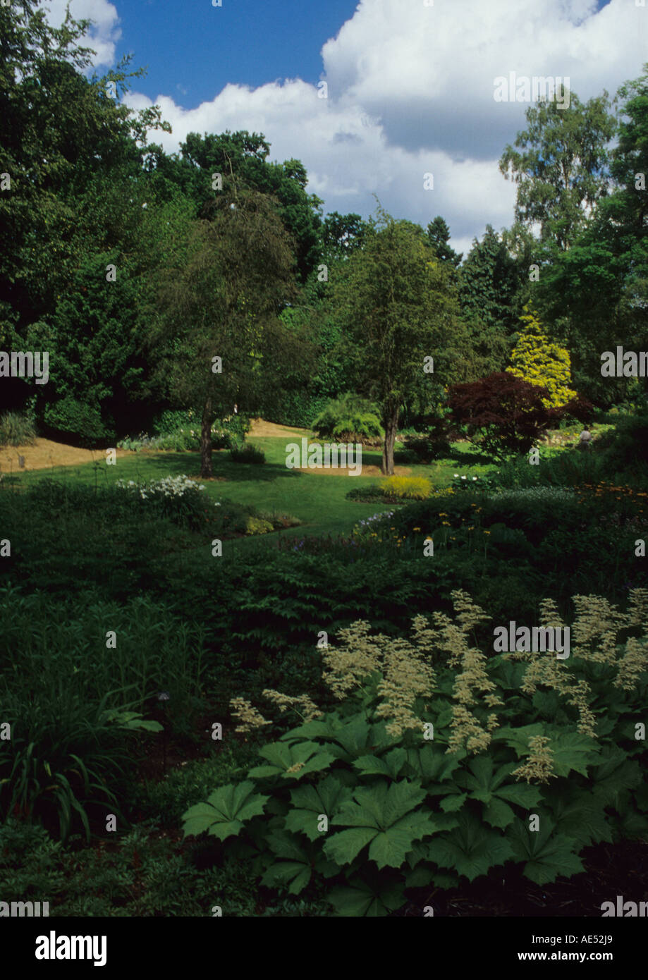 Gardens At Bressingham in Norfolk Uk Stock Photo - Alamy