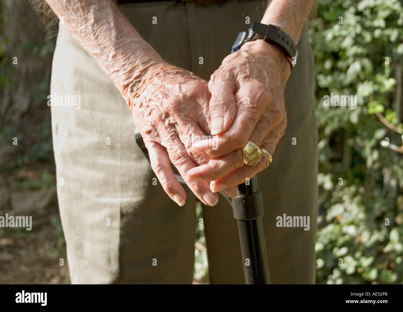 Elderly masculine hands resting on a cane, outdoors Stock Photo - Alamy