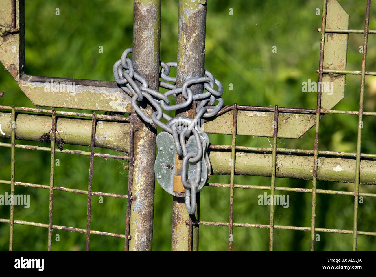 Locked gate chain padlock no entry fence keepout hi-res stock ...