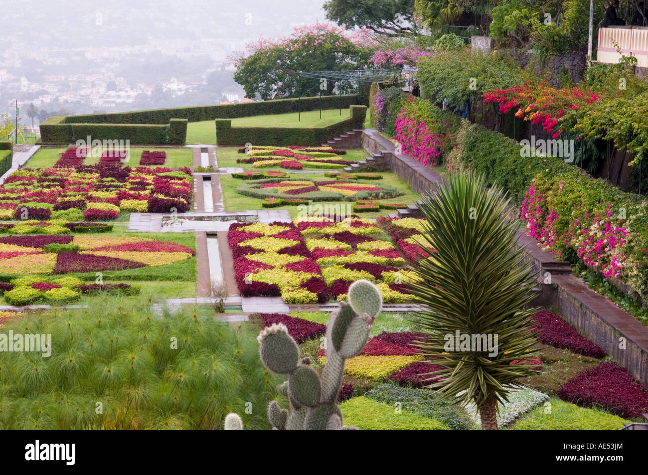 A terrace planted in geometric shapes with contrasting red and green ...