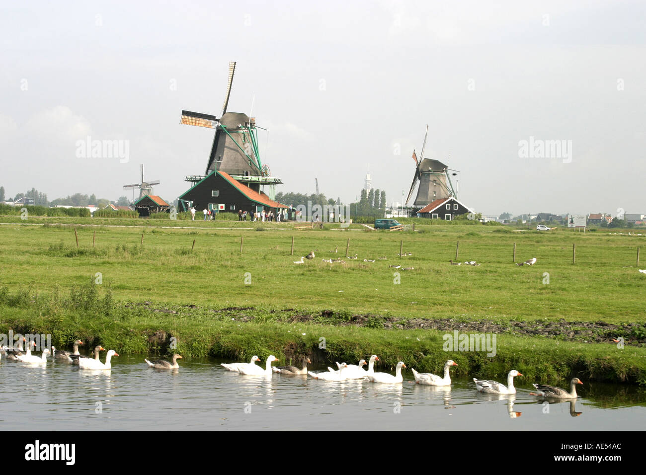 Dutch windmills turning in the wind at Zaandam tourist village Stock ...