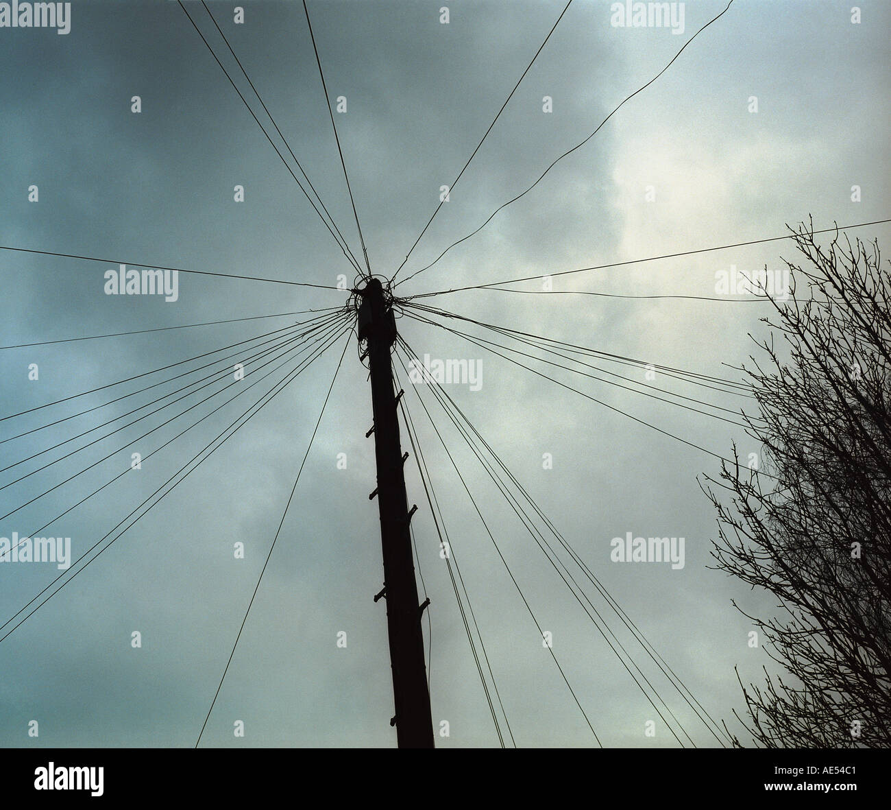 Wires and a Pole on Cloud with Bush London England Stock Photo - Alamy