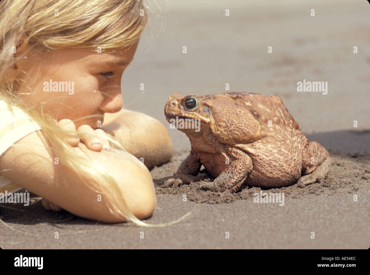 People Children Marine toad Stock Photo - Alamy