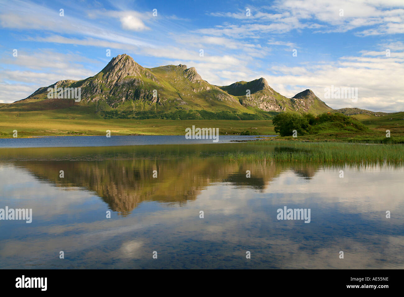 Ben loyal estate hi-res stock photography and images - Alamy