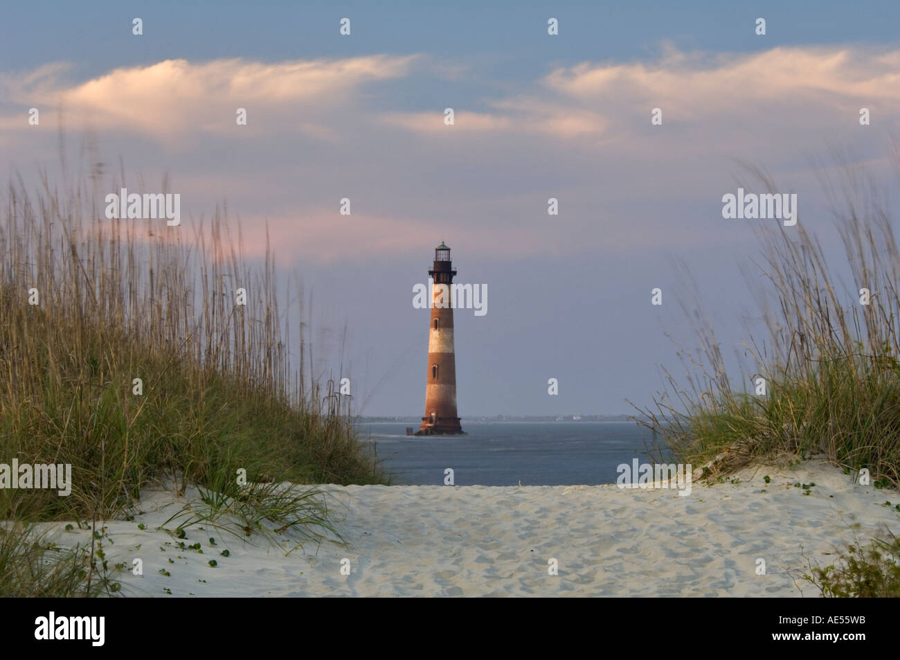 South carolina charleston beach grass hi-res stock photography and ...