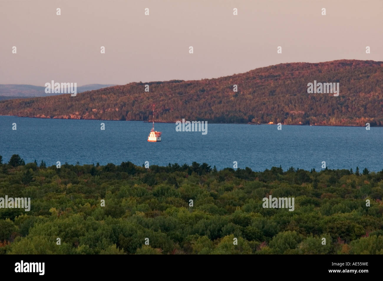 Reef gross hi-res stock photography and images - Alamy