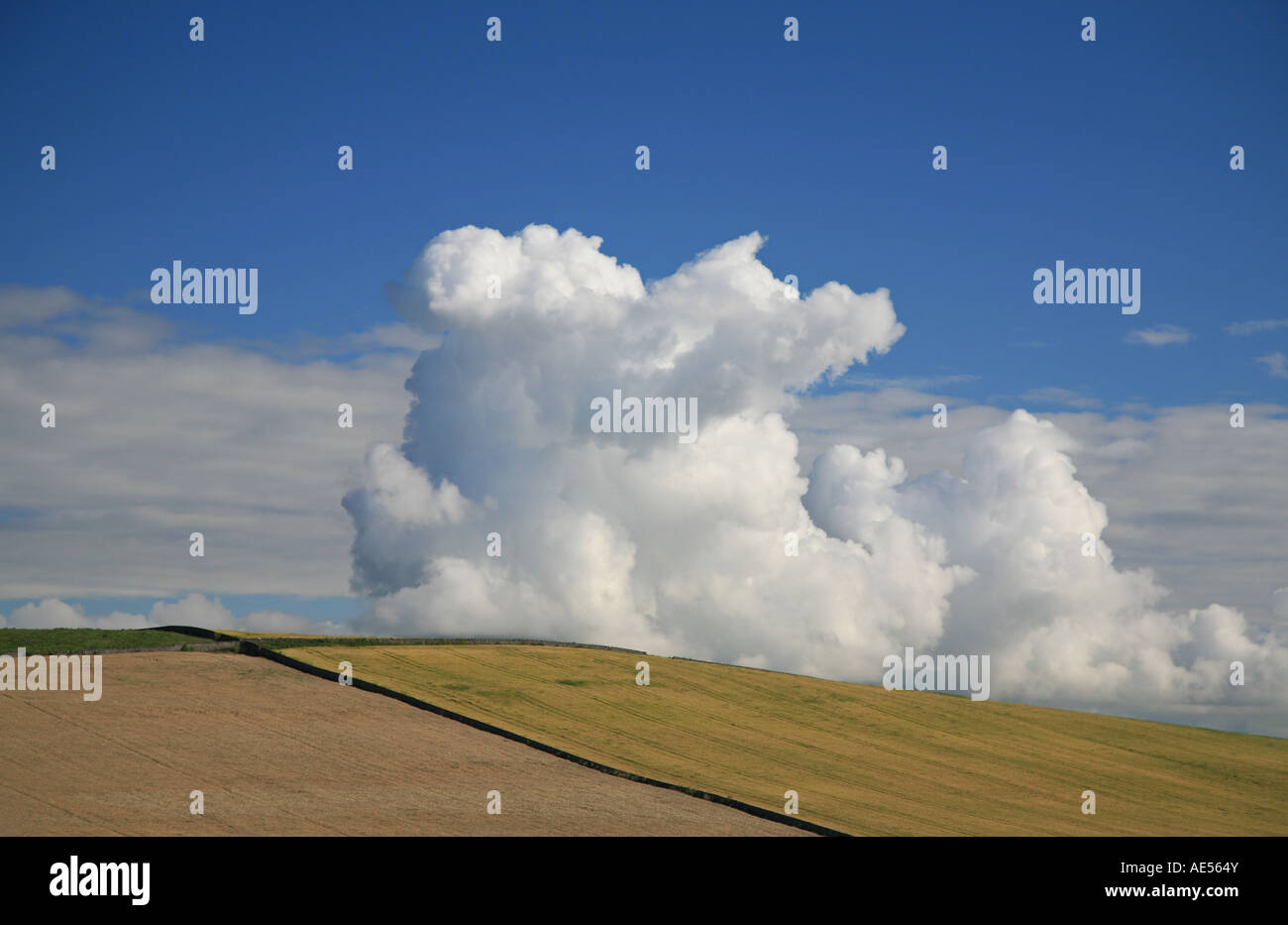 Cumulus cloud building hi-res stock photography and images - Alamy