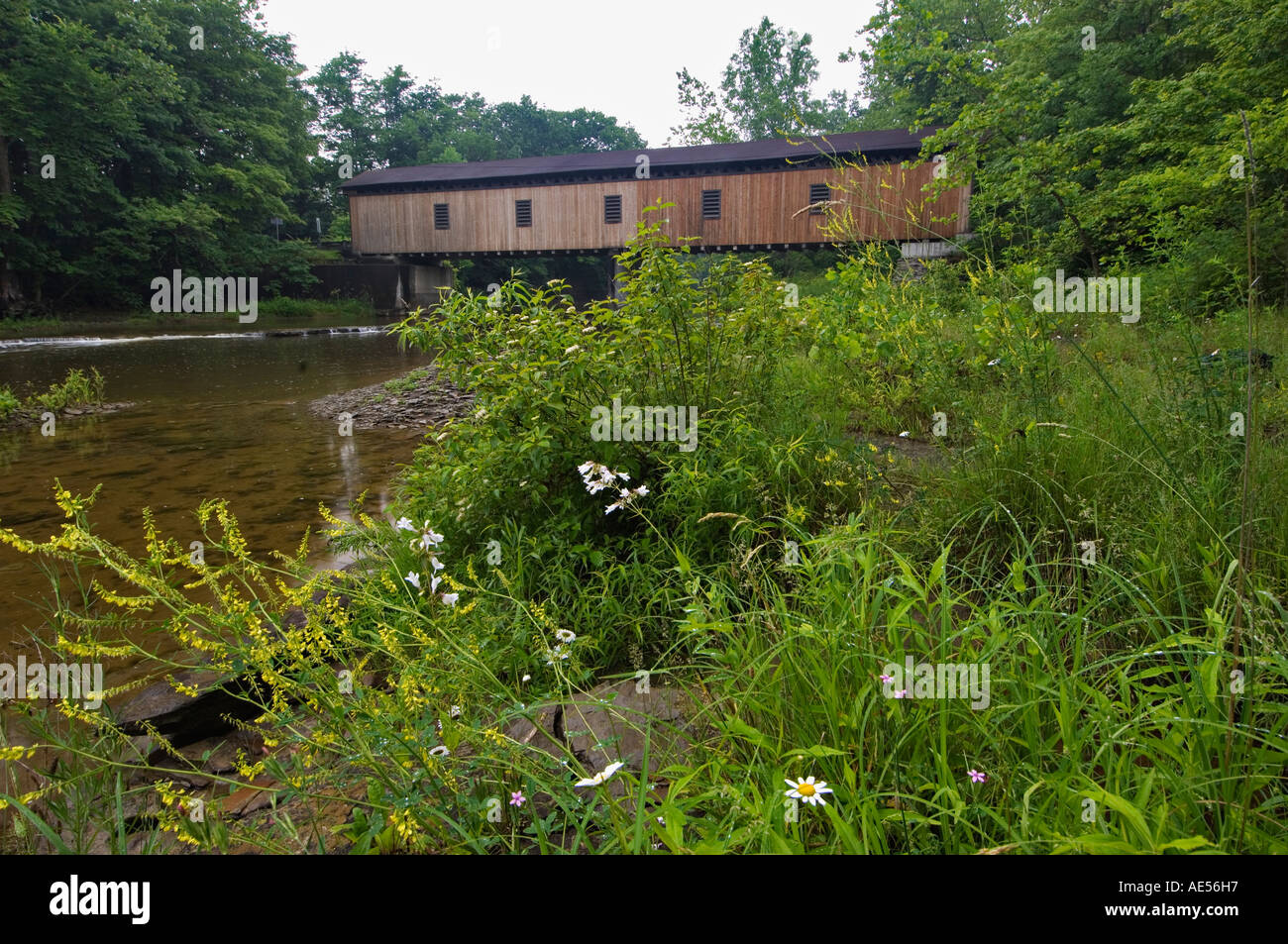 Wildflowers and Olin Covered Bridge Crossing the Ashtabula River ...