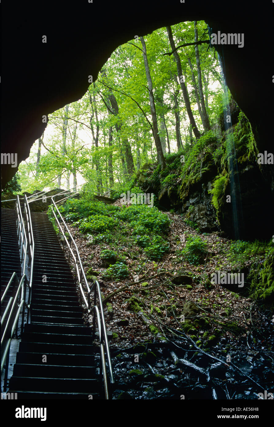 Concrete Steps Leading Into Entrance of Mammoth Cave from Inside ...