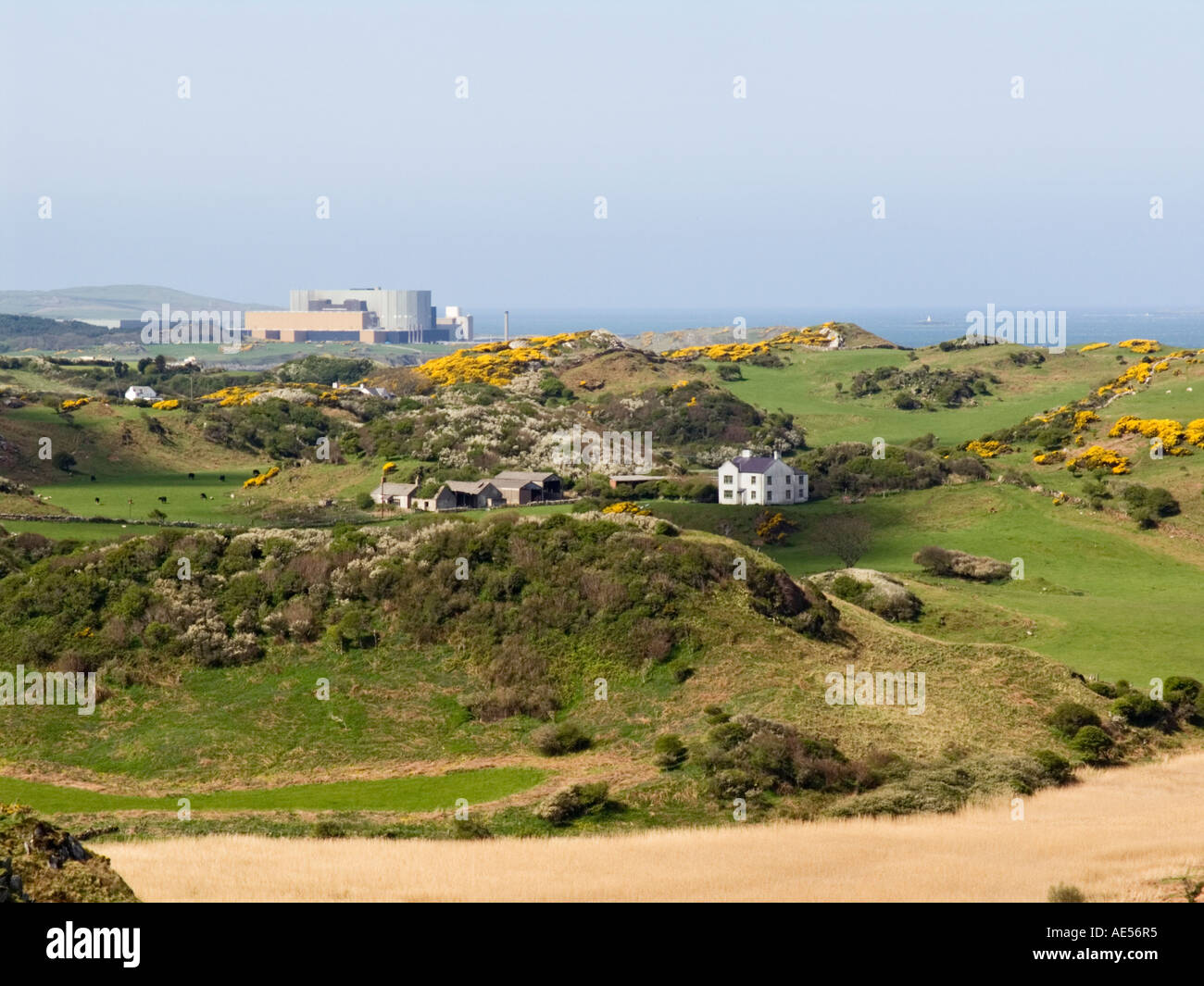 Anglesey country landscape from Porth Llanlleiana Bay Cemaes Anglesey ...