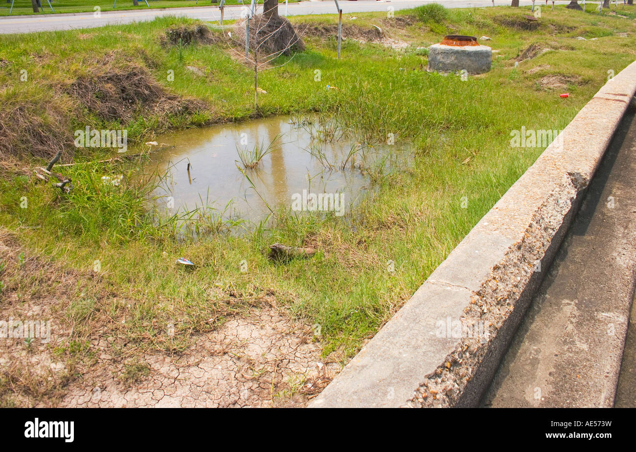 Seawall damage and soil erosion bordering Lake Pontchartrain two years ...