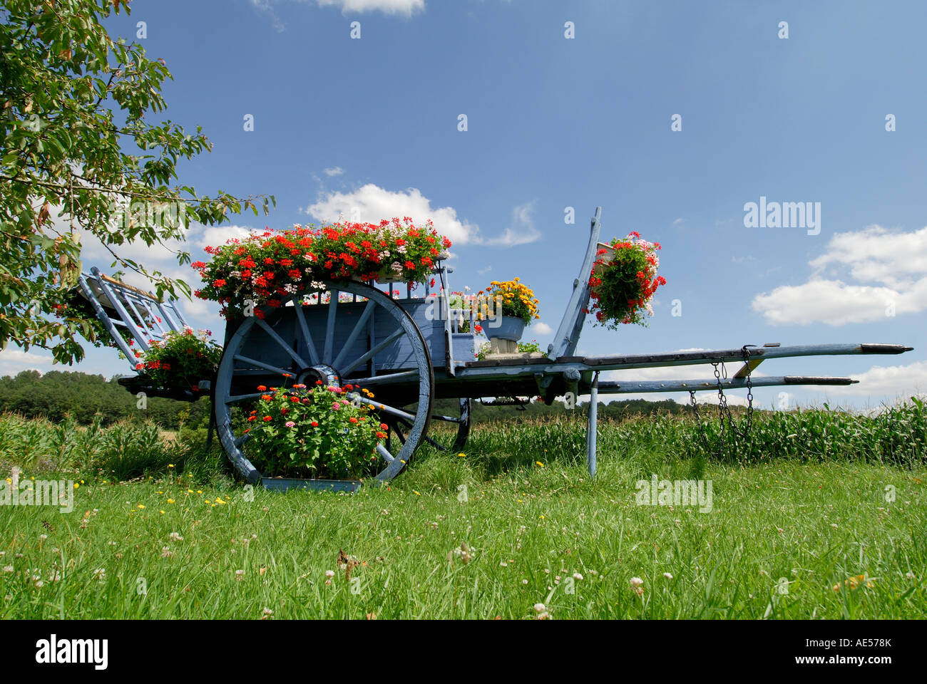 Charette wheel hi-res stock photography and images - Alamy