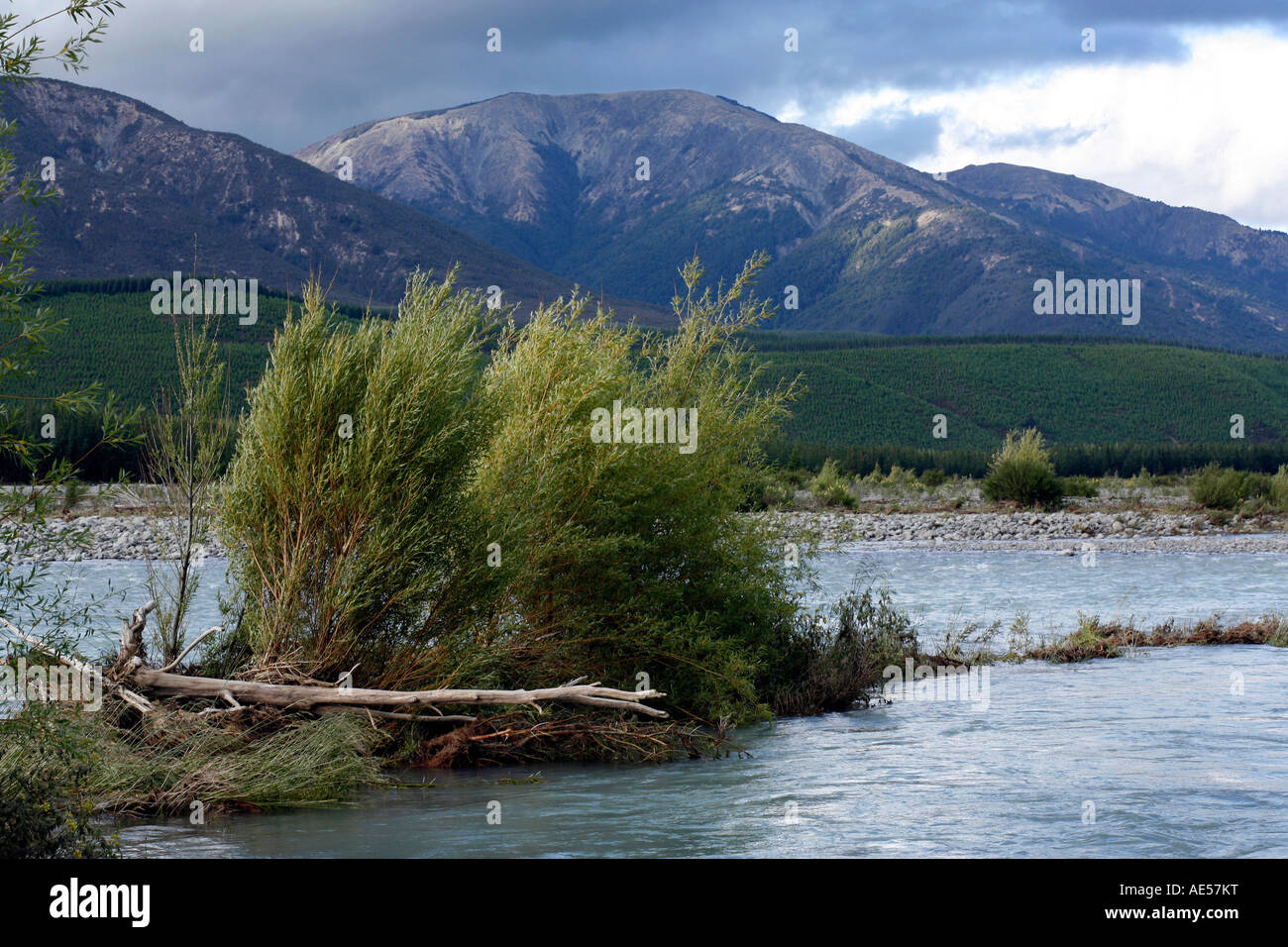 Wairau river, South Island, New Zealand, mountain, tree-trunk Stock ...