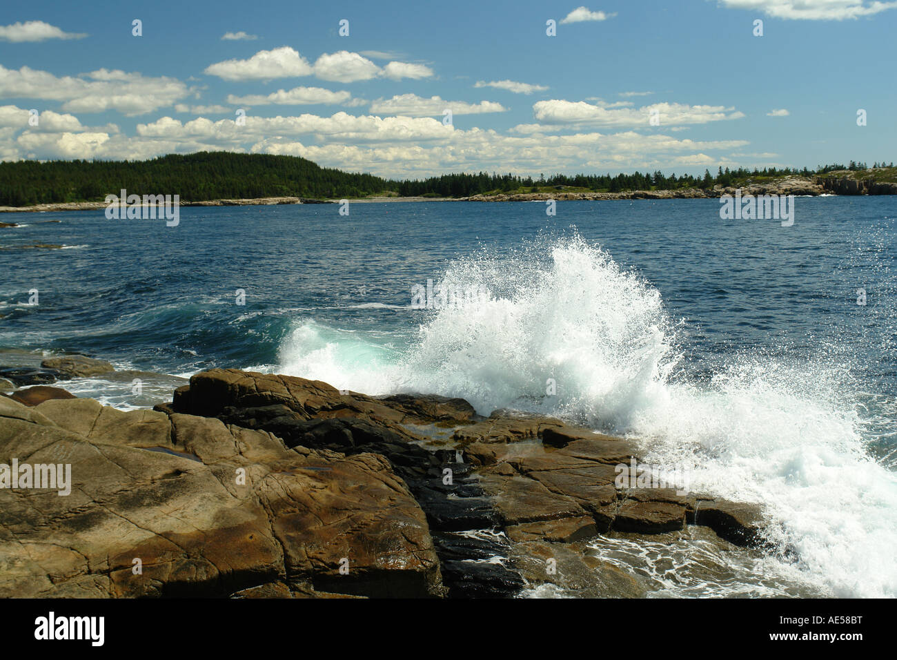 AJD59502, Acadia National Park, ME, Maine, Schoodic Peninsula Stock ...