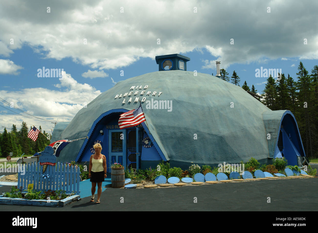 AJD59511, Machias, ME, Maine, Wild Blueberry Land Stock Photo - Alamy