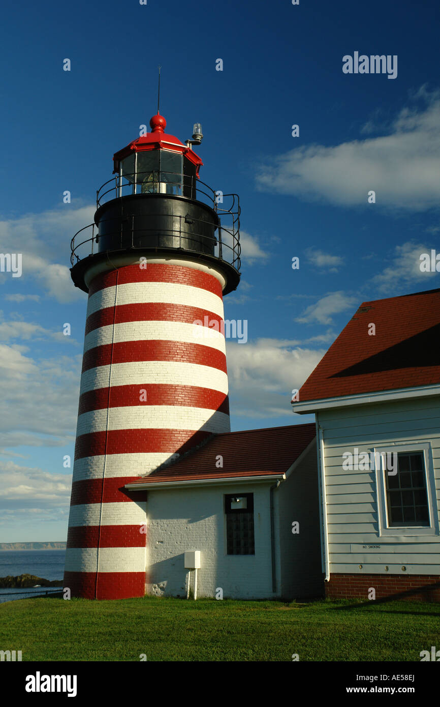 AJD59518, Lubec, ME, Maine, Bay of Fundy, Quoddy Head State Park, West ...