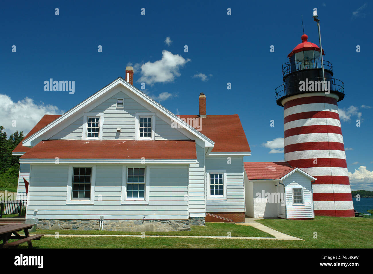 AJD59533, Lubec, ME, Maine, Bay of Fundy, Quoddy Head State Park, West ...