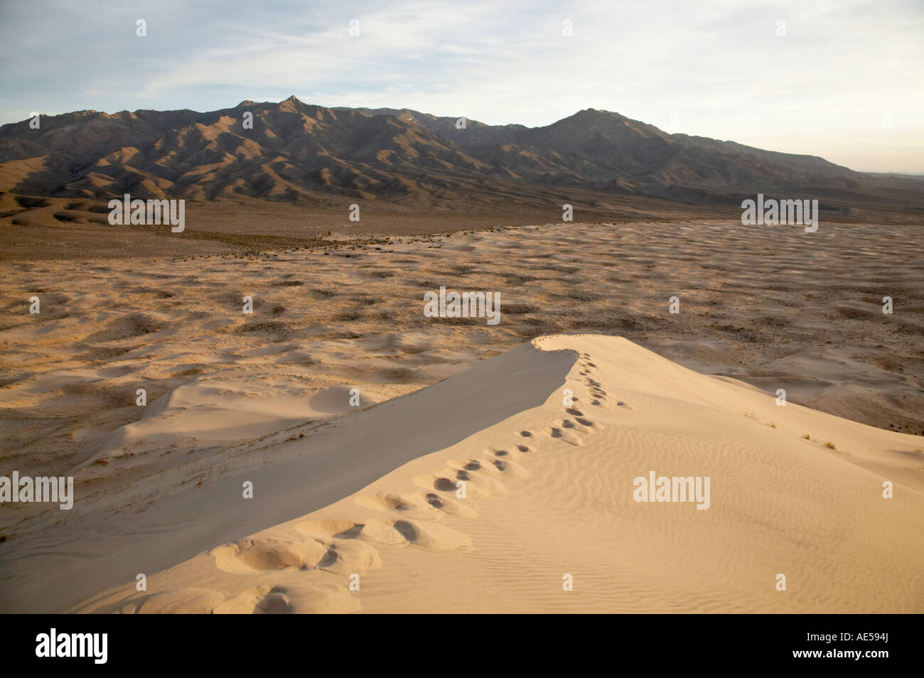 Kelso sand dunes. Mojave National Preserve California Stock Photo - Alamy