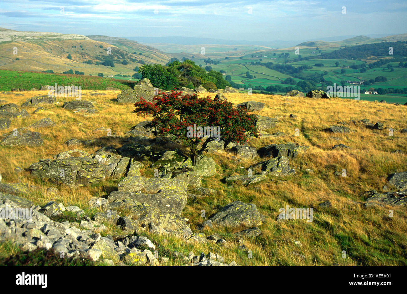 Karst scenery Yorkshire Dales national park England Stock Photo - Alamy