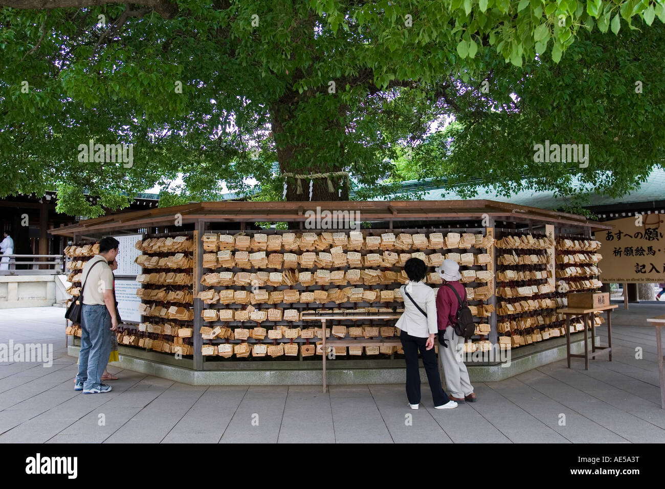 People reading wishes and prayers on wooden votive plaques - ema ...