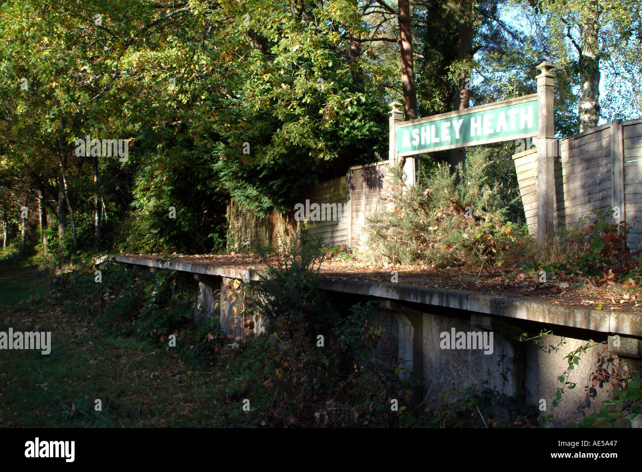 Ashley Heath High Resolution Stock Photography and Images - Alamy