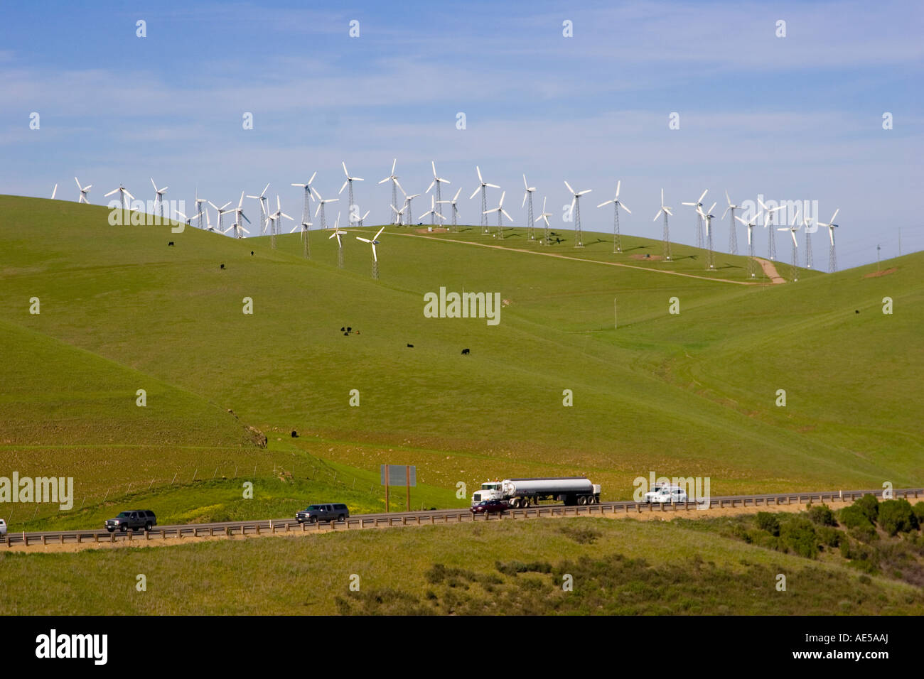 Oil tanker truck driving on highway past field of windmills showing ...