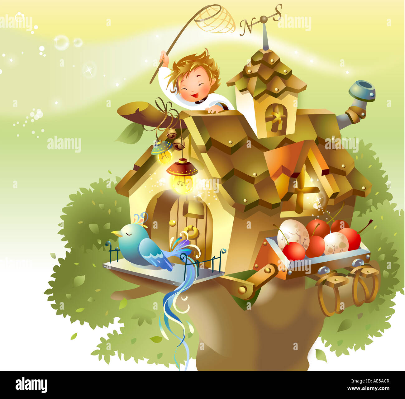 Kid boy catch bird hi-res stock photography and images - Alamy