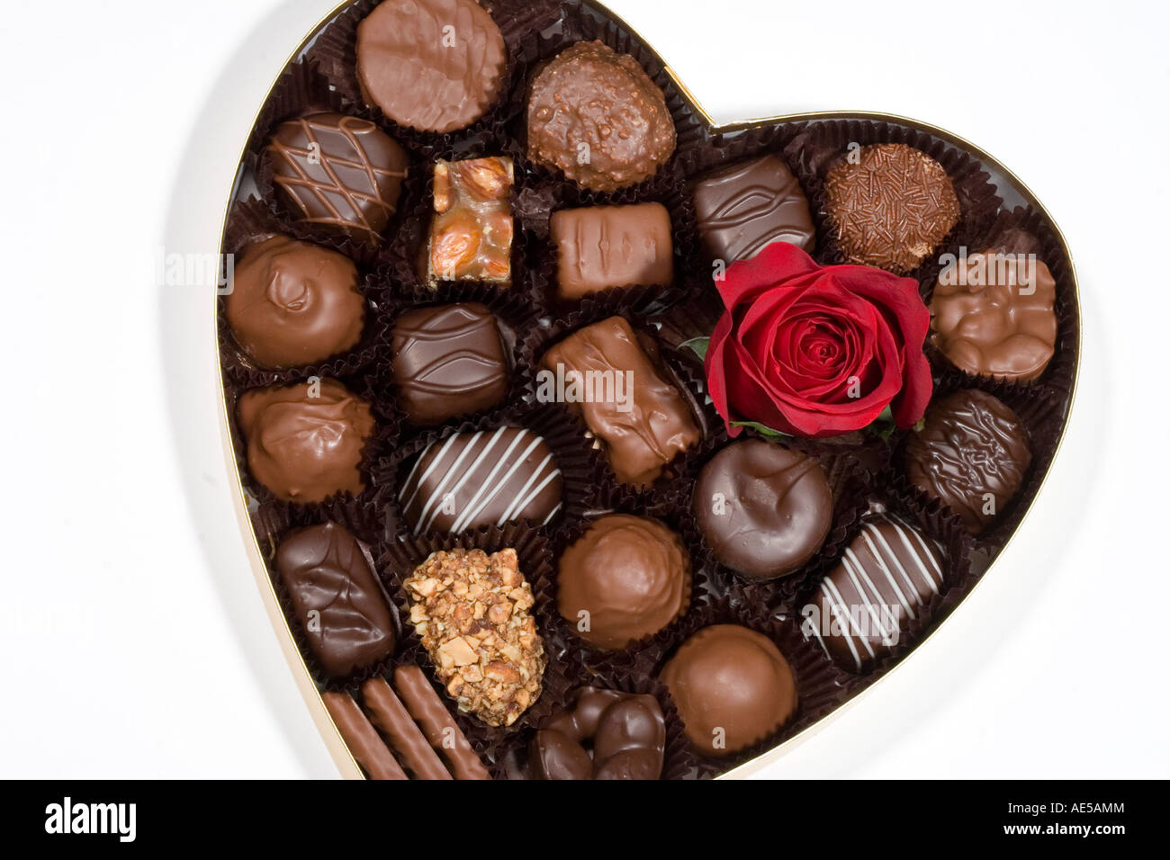 Rose Bud High Resolution Stock Photography and Images - Alamy