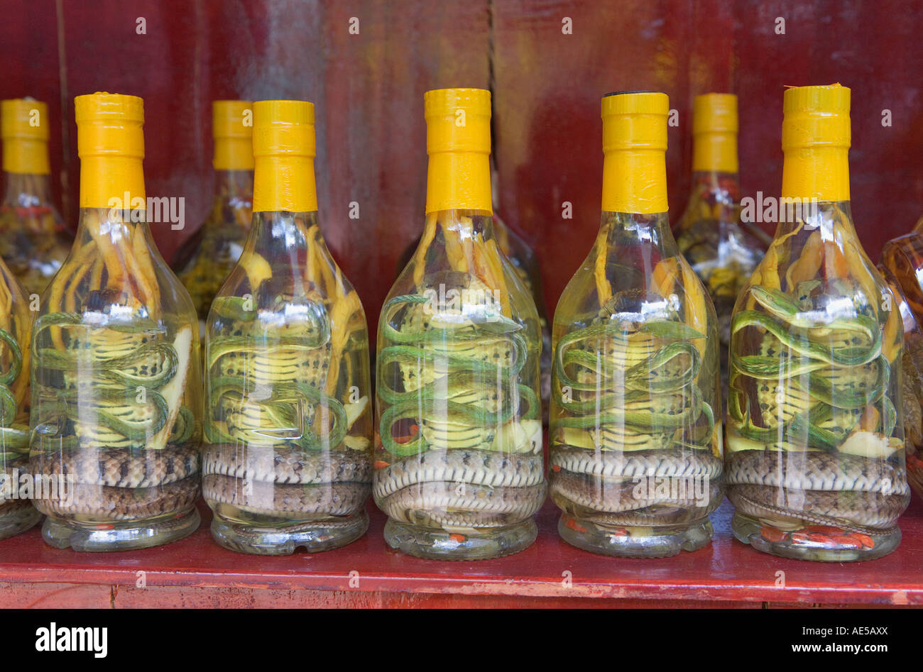 Snake Wine Vietnam High Resolution Stock Photography and Images - Alamy