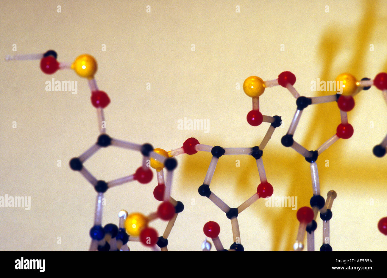 DNA molocule model Stock Photo - Alamy