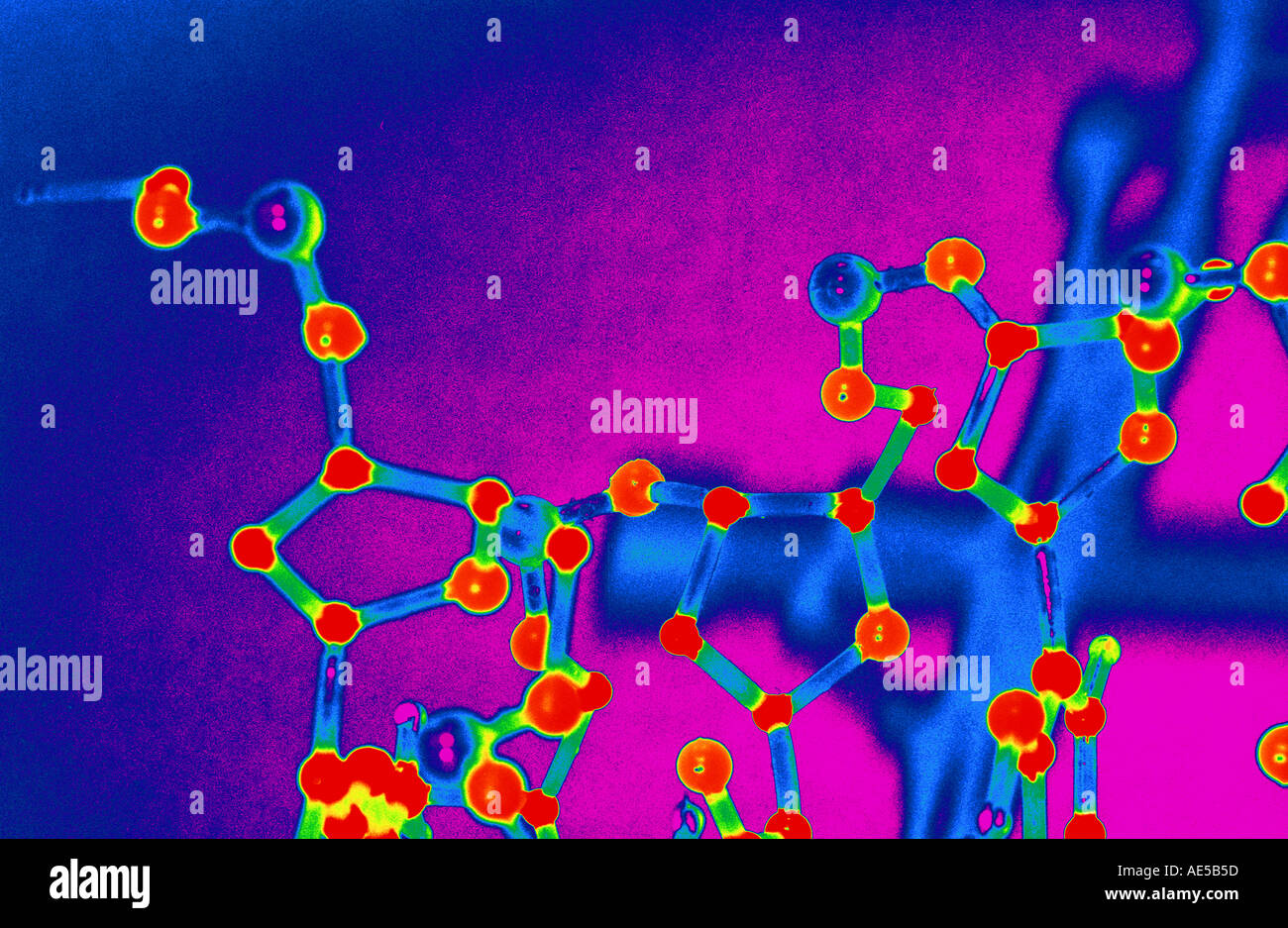 DNA molecule model Stock Photo - Alamy