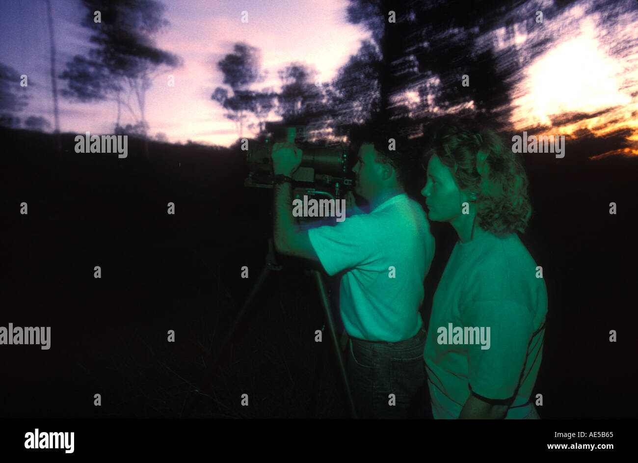 researchers use army night vision scope to watch Hawk moth fertilise ...