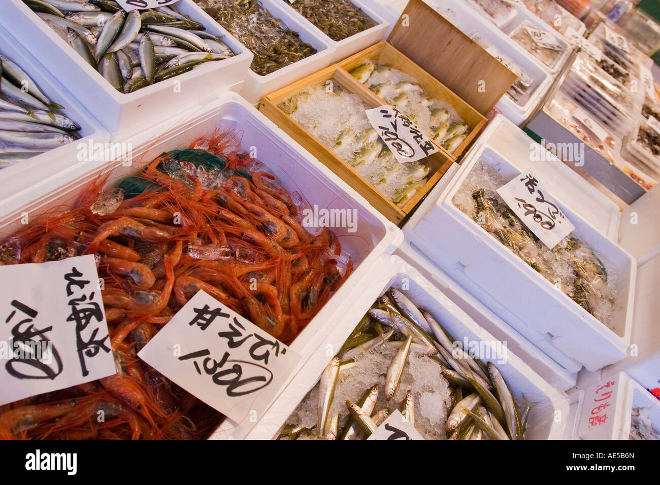 Fish displayed in styrofoam containers in stall at Tsukiji Fish Market ...