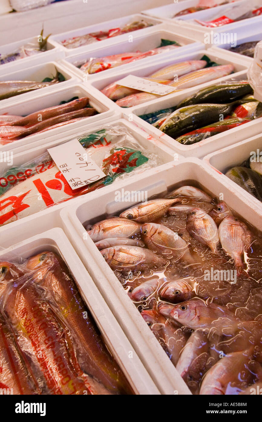 Fish displayed in styrofoam containers at Tsukiji Fish Market in Tokyo ...
