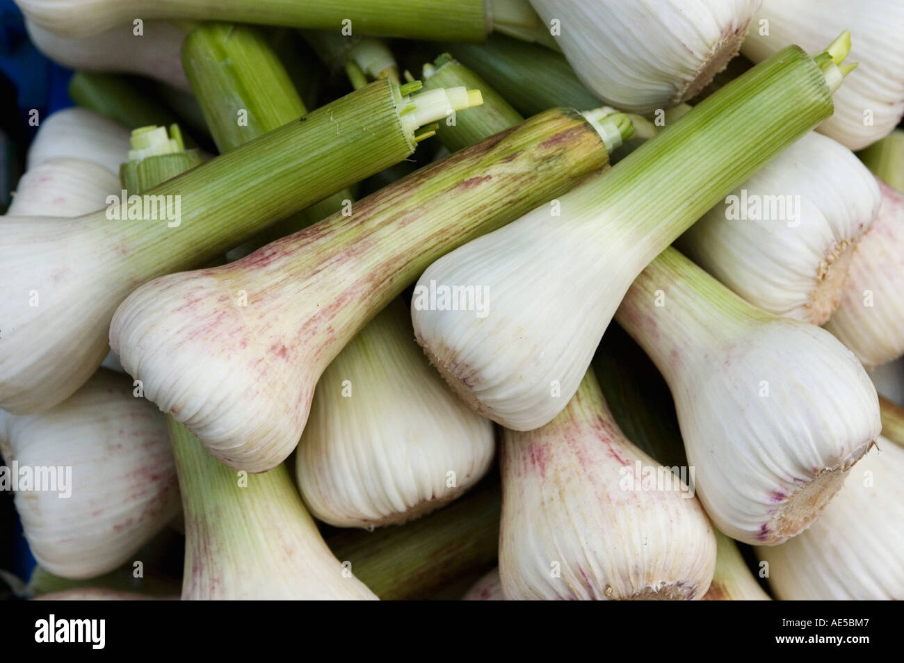 Naschmarkt viena hi-res stock photography and images - Alamy