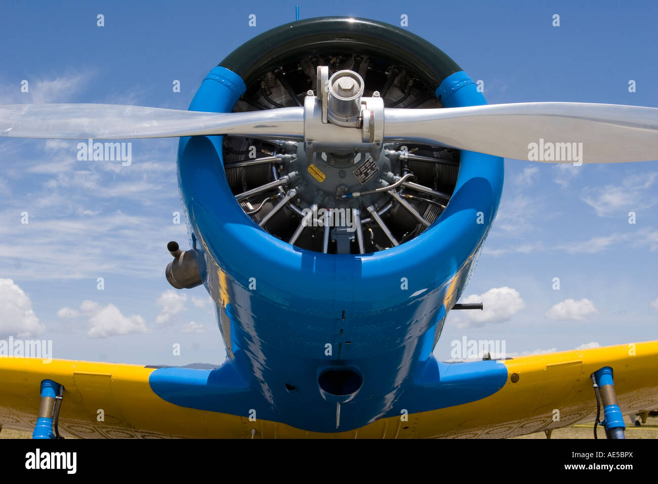 Looking up at front of blue and yellow Vultee BT 13 Valiant airplane ...