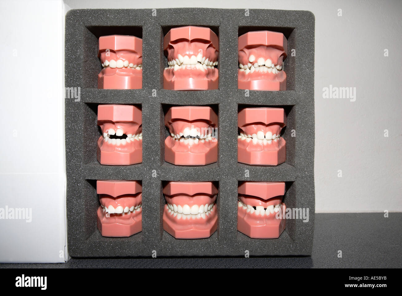Dental display unit of nine casts showing upper and lower sets of ...