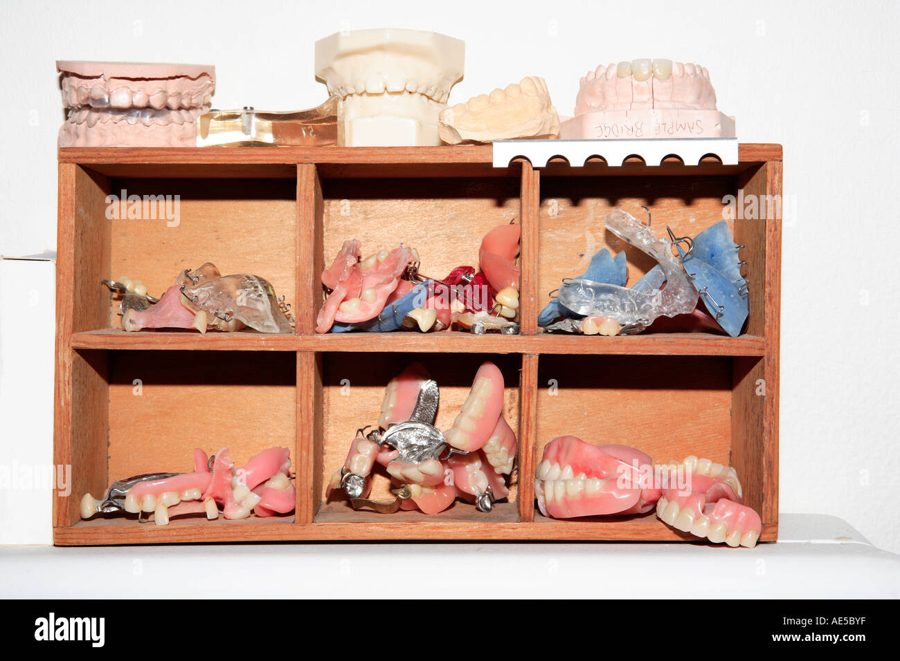 Dental display false teeth hi-res stock photography and images - Alamy