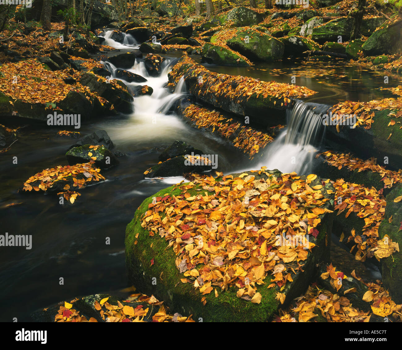Autumn leaves and waterfalls, Great Smoky Mountains National Park ...