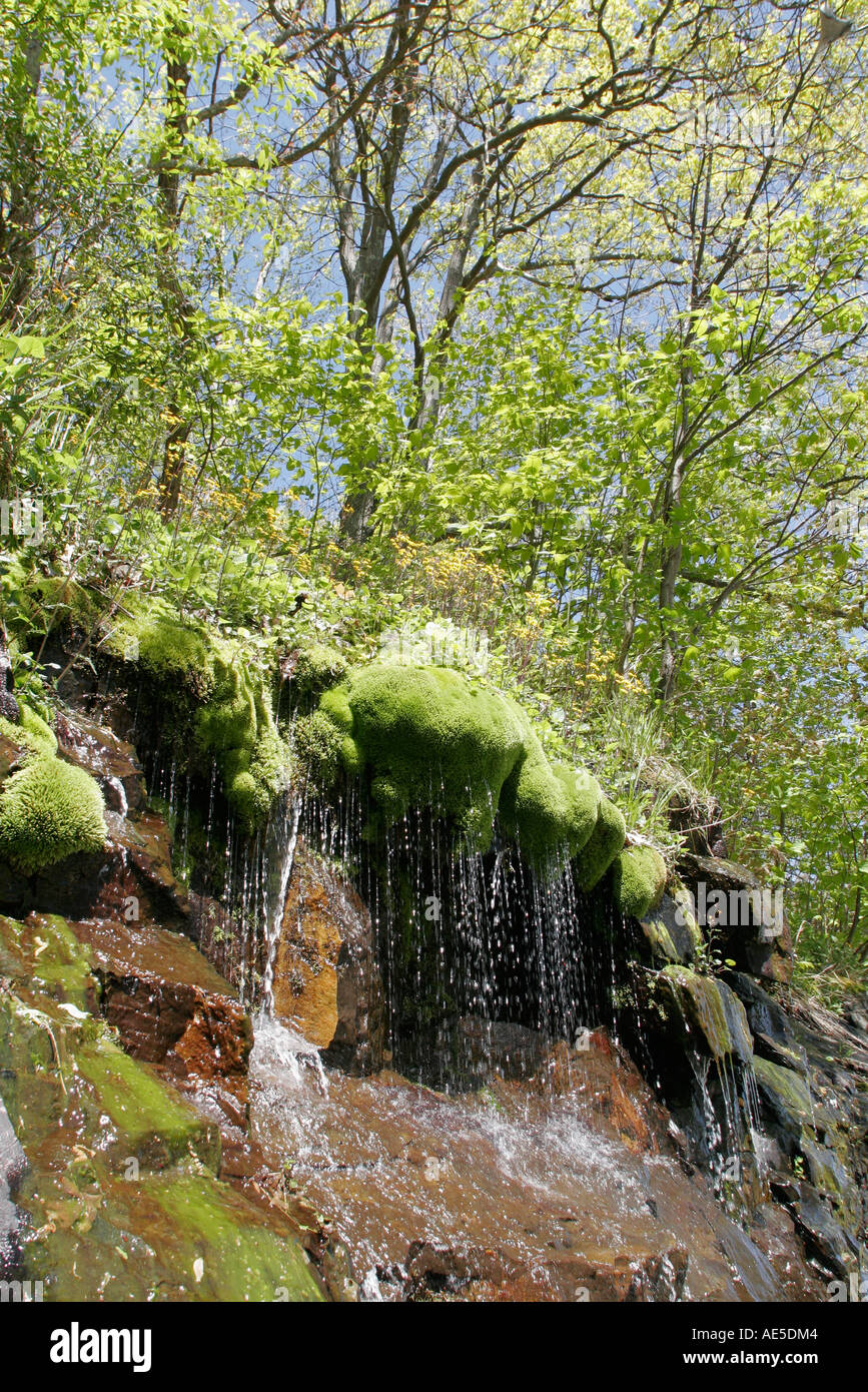 Shenandoah National Park Virginia,Skyline Drive,spring water,rocks,moss ...