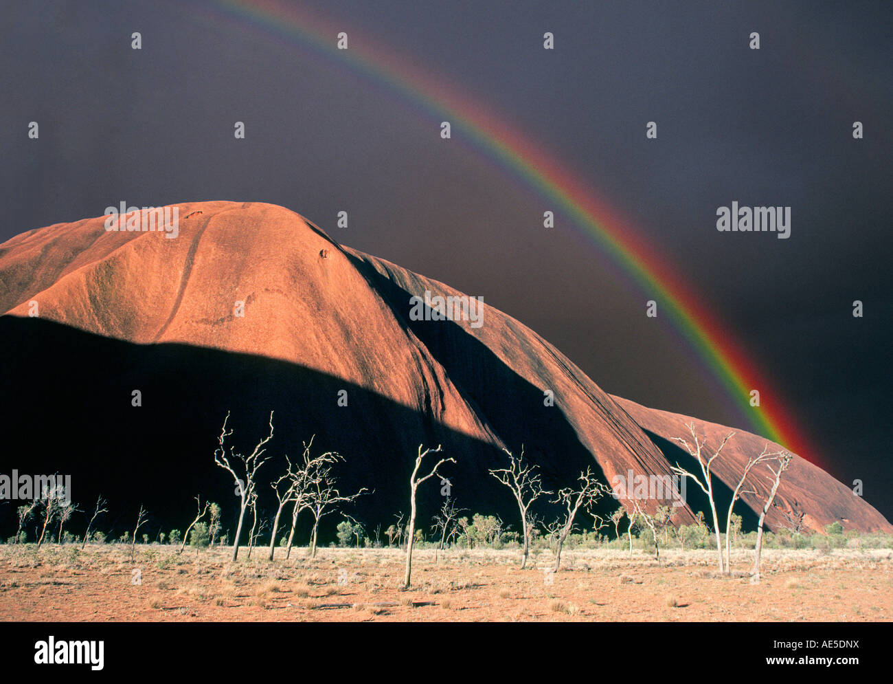 A rainbow over the great boulder called Ayers Rock National Park in the ...