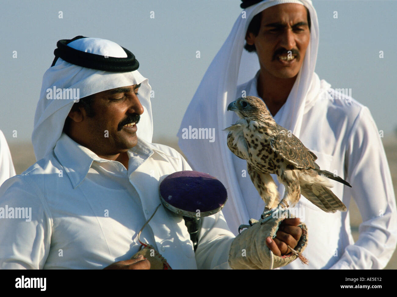 Falconers with a falcon in Qatar Stock Photo - Alamy