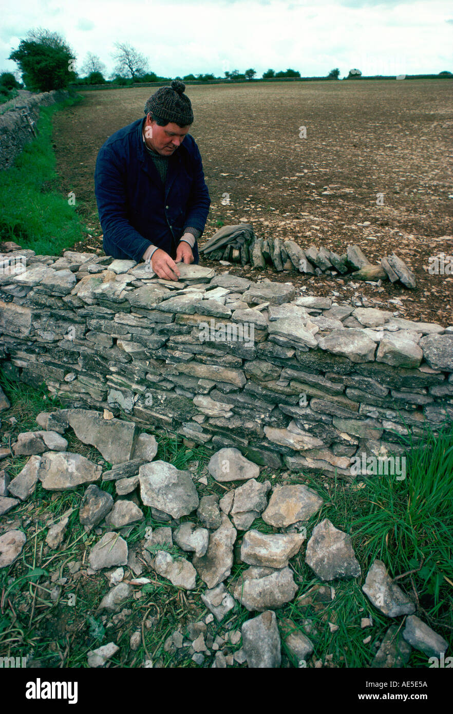 Man building dry stone wall with Cotswolds stones and traditional ...