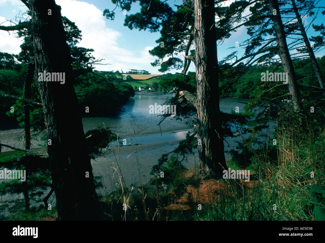 Helford River Estuary Cornwall England Stock Photo - Alamy