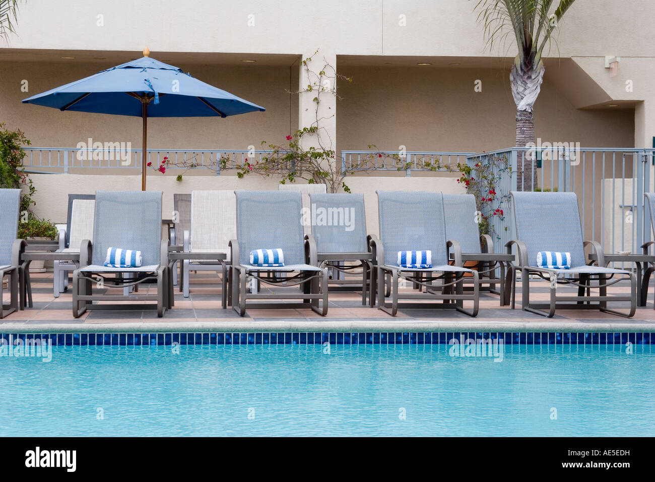 Lounge chairs and a blue umbrella at a hotel poolside Santa Monica ...