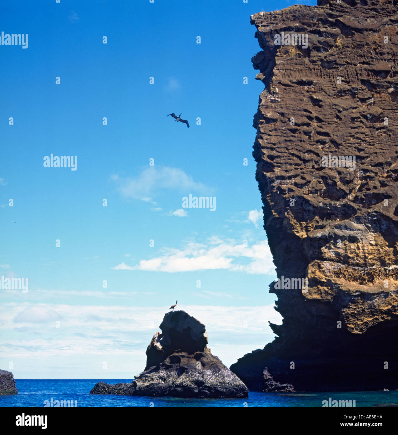 The brown rugged volcanic column of Pinnacle Rock with sea birds and ...