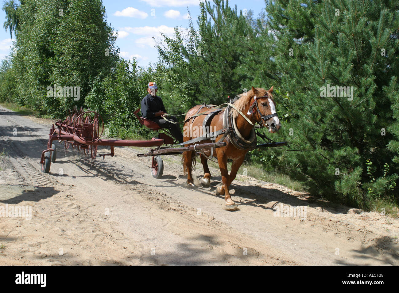 Farmer on horse drawn carriage hi-res stock photography and images - Alamy