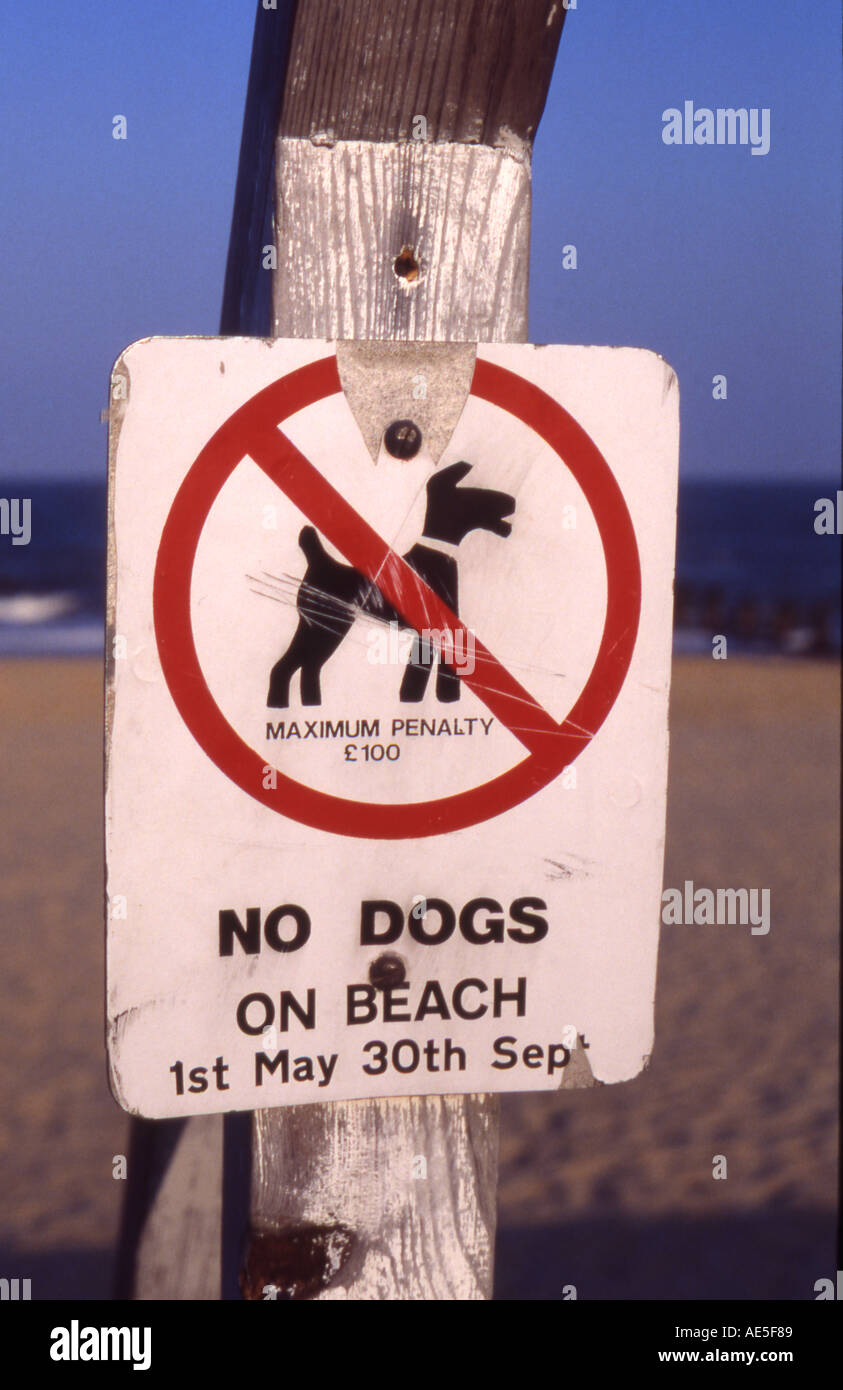 no dogs on beach sighn Stock Photo - Alamy