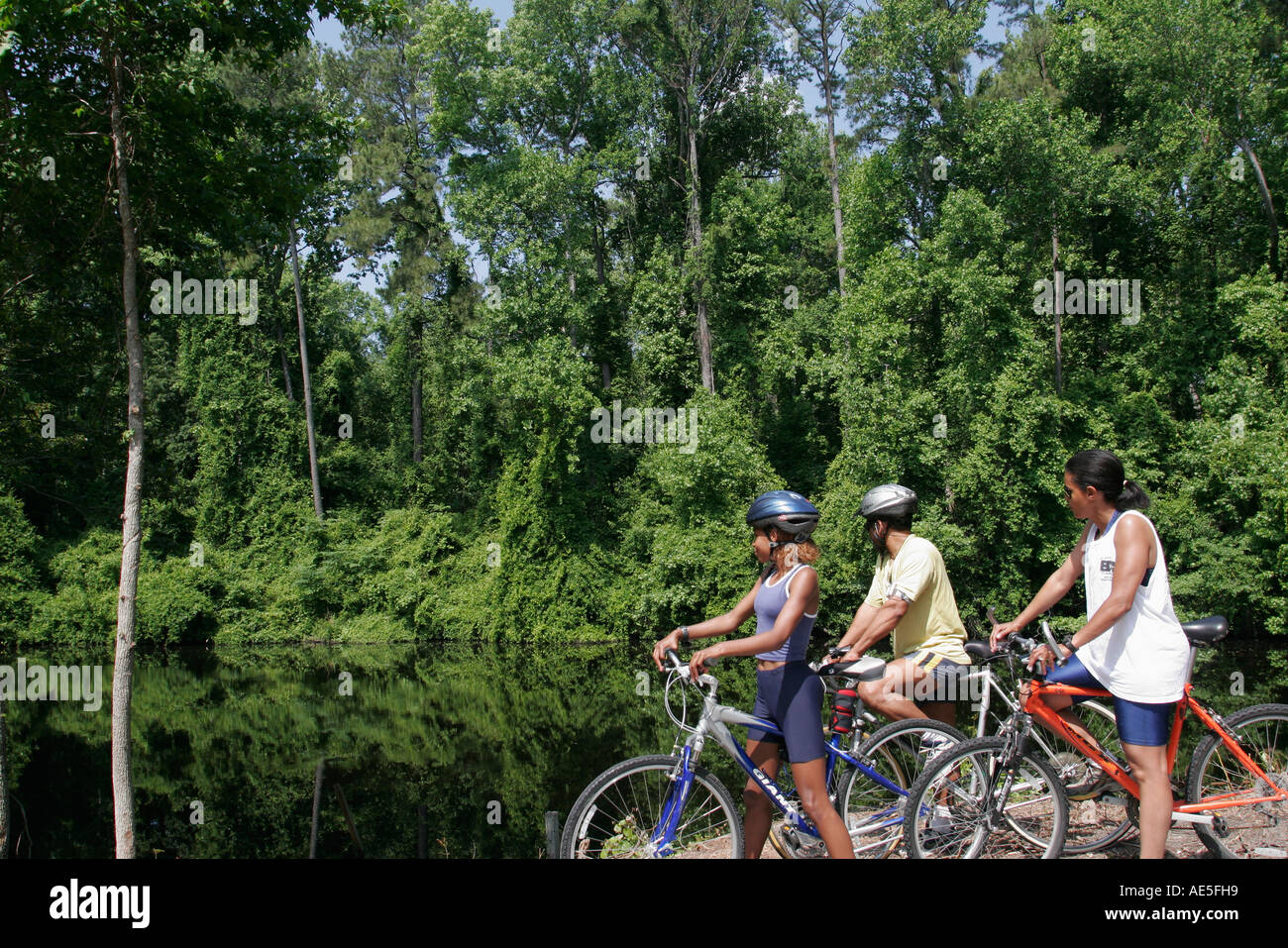 Chesapeake Virginia,Dismal Swamp Canal Trail,Black Blacks African ...