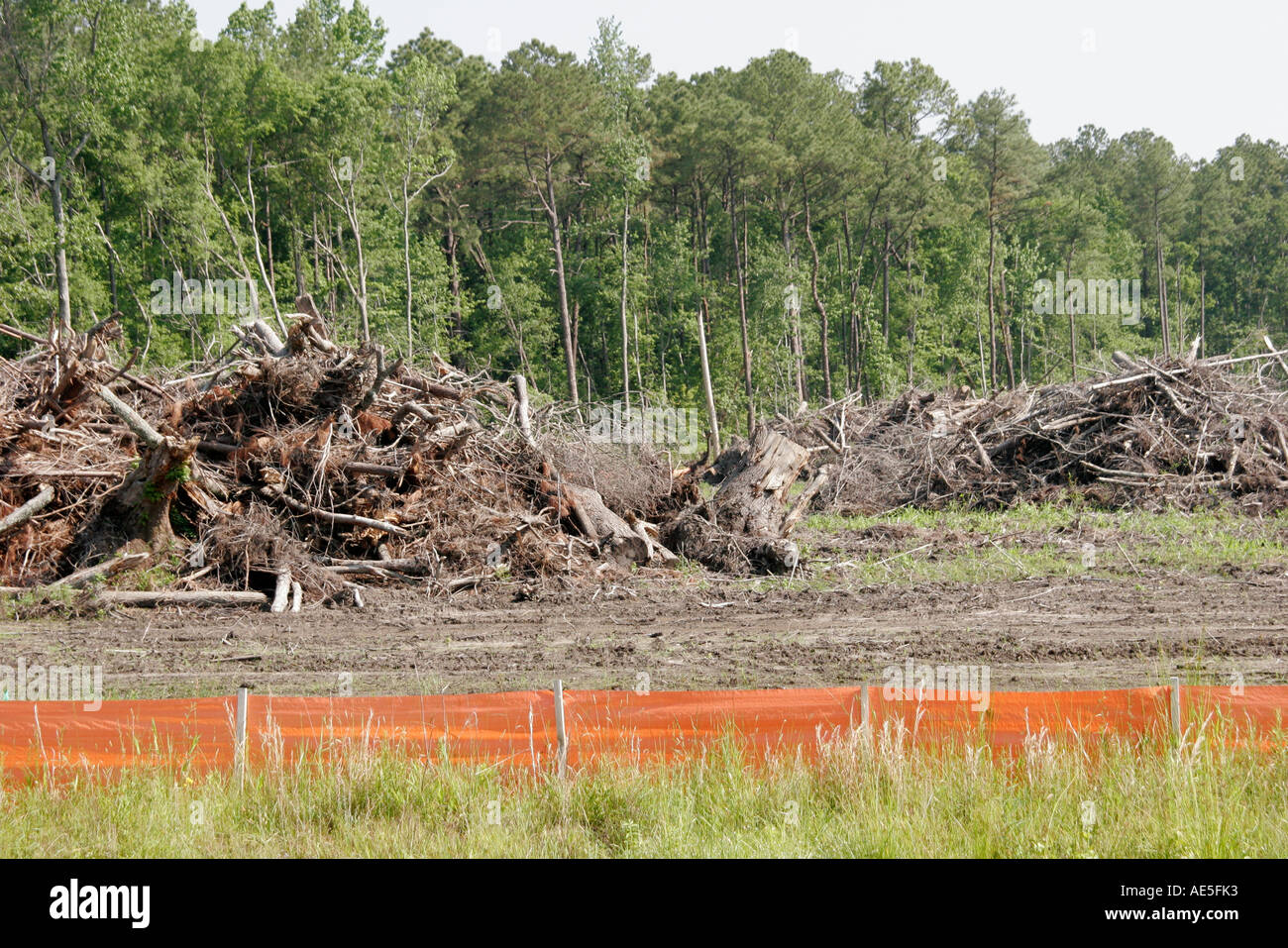 Chesapeake Virginia,Western Branch,deforestation,new home,under new ...